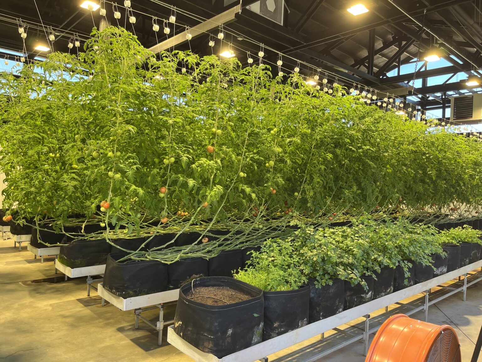 Home - Astoria Beer Zone